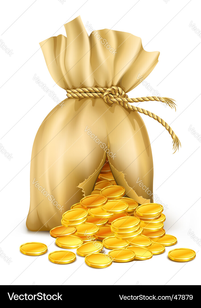 Cracked sack Royalty Free Vector Image - VectorStock