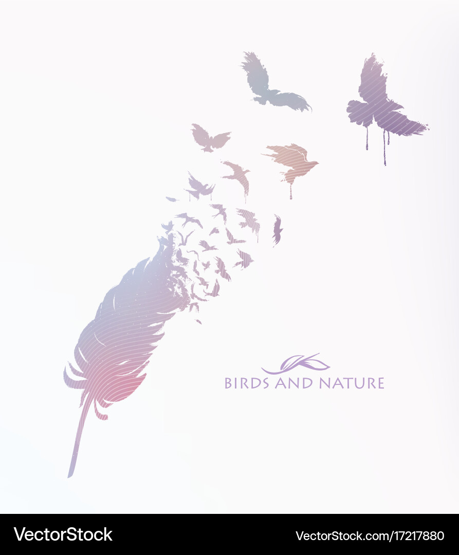 Colored feather with flying birds Royalty Free Vector Image
