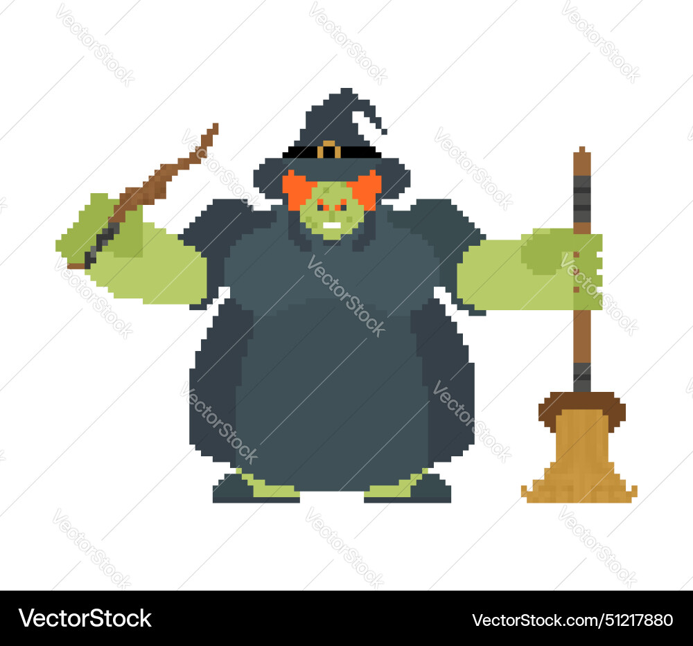 Witch pixel art isolated 8bit angry sorceress Vector Image
