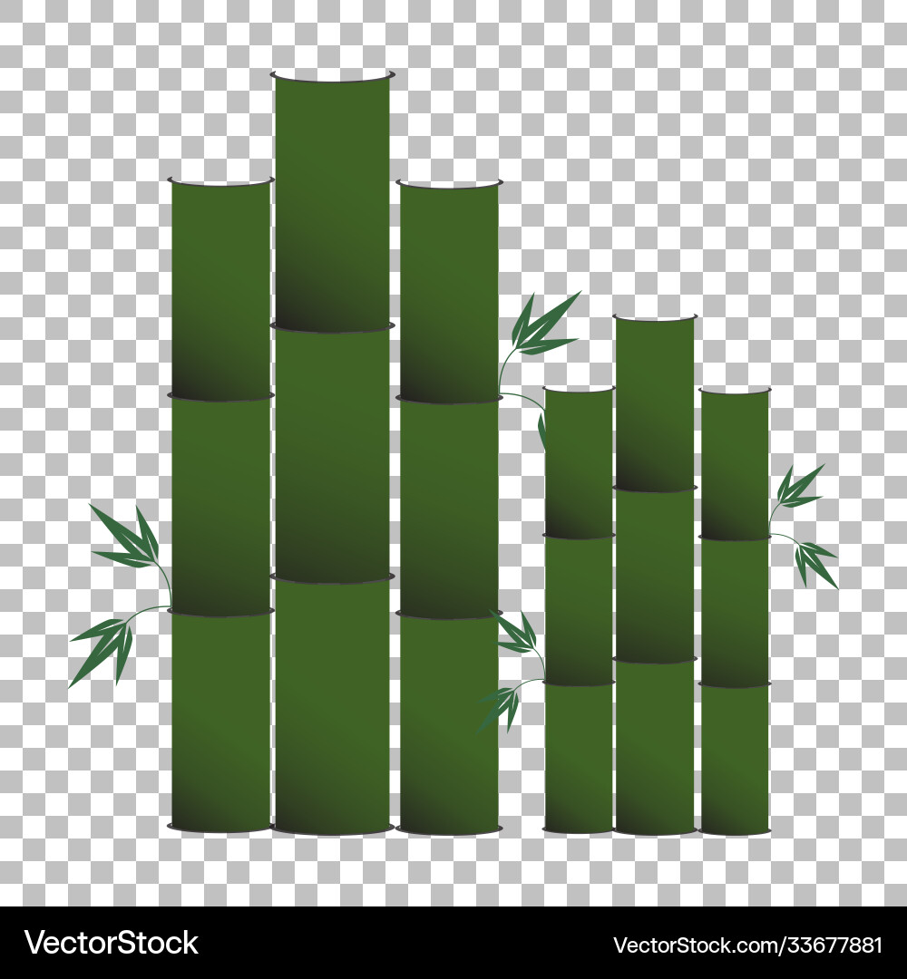 Bamboo Royalty Free Vector Image - VectorStock