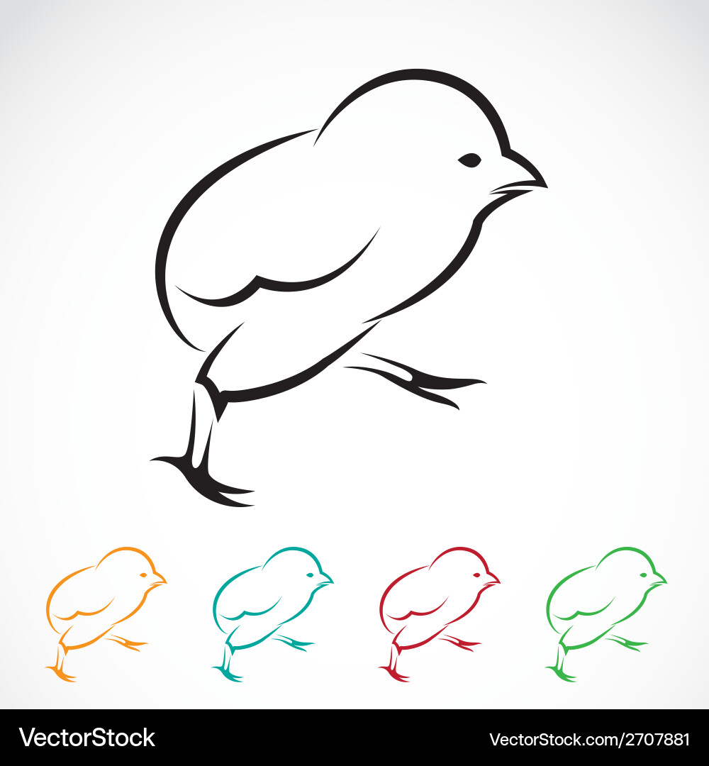 Image of an chick Royalty Free Vector Image - VectorStock