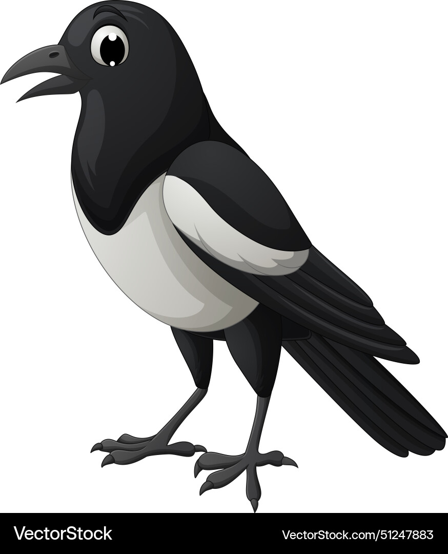 Cartoon Magpie Bird Royalty Free Vector Image - VectorStock