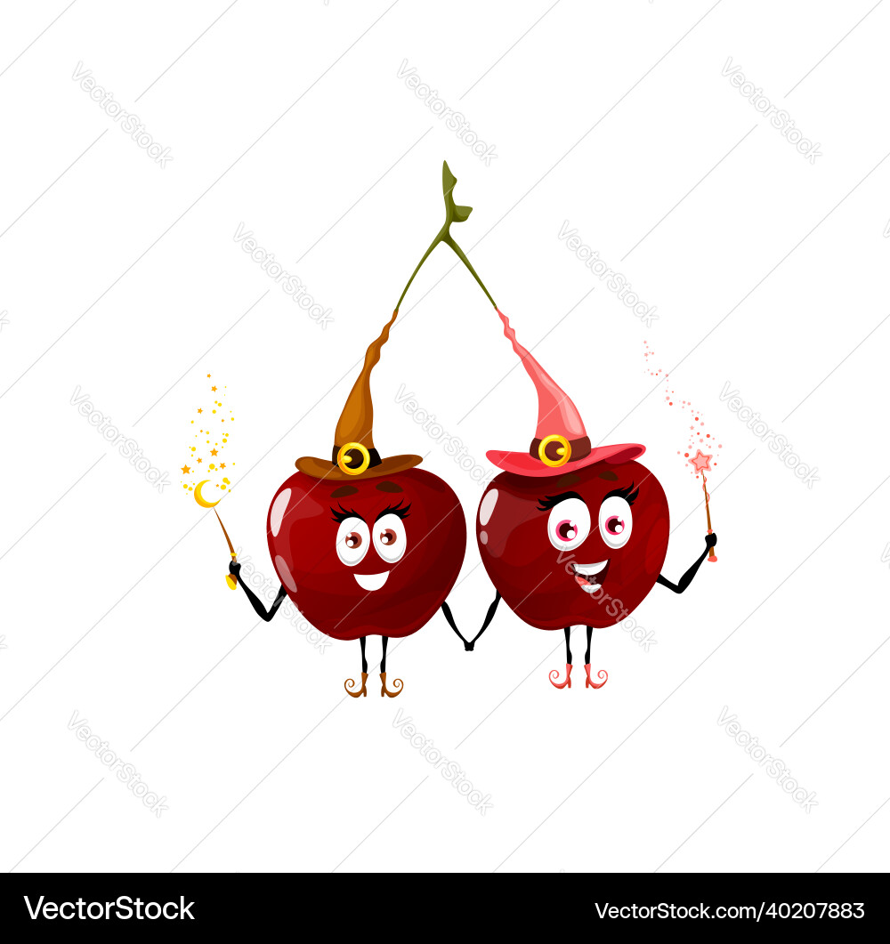 Fairy cherry twins wizard berry cartoon character Vector Image