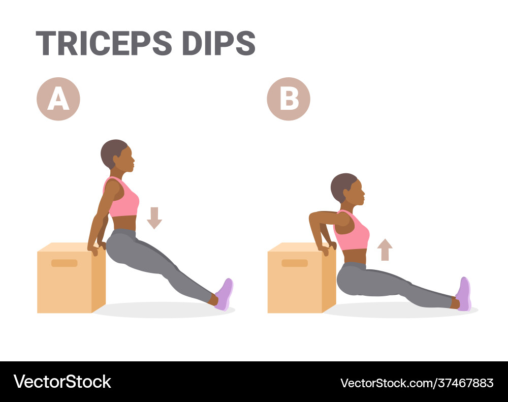 Girl doing triceps dips exercise for home workout Vector Image