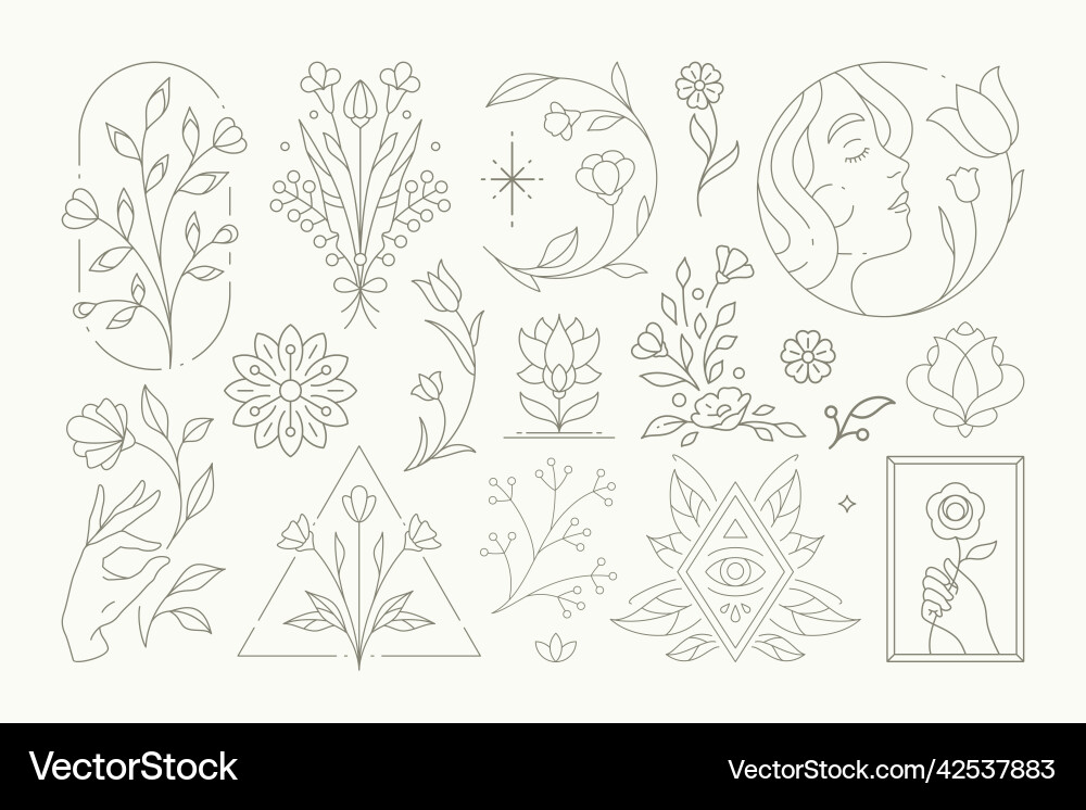Hand drawn monochrome esoteric line art botanical Vector Image