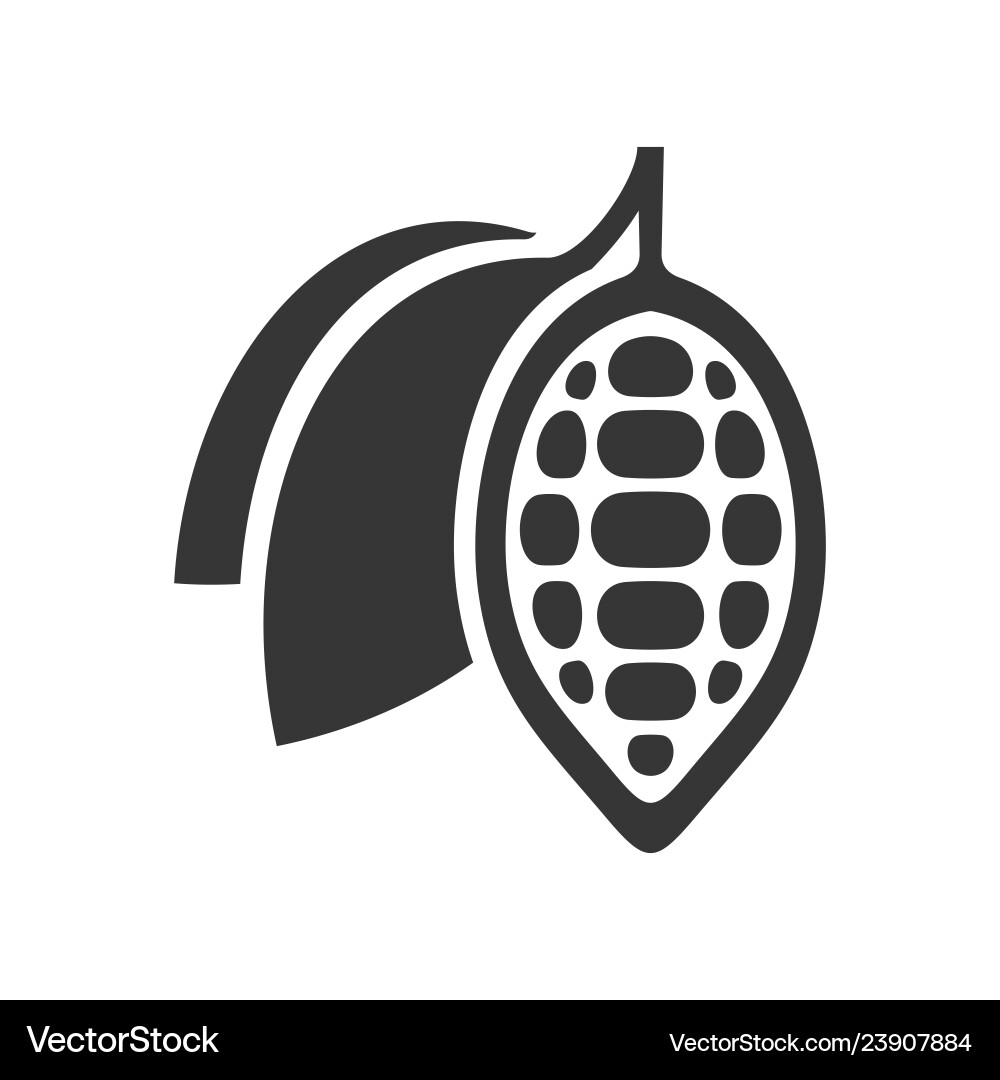 Chocolate cocoa beans icon on white background Vector Image