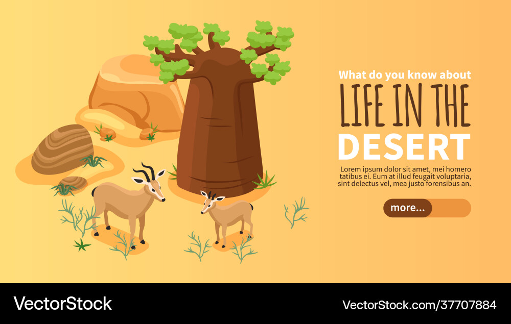 Isometric desert banner Royalty Free Vector Image
