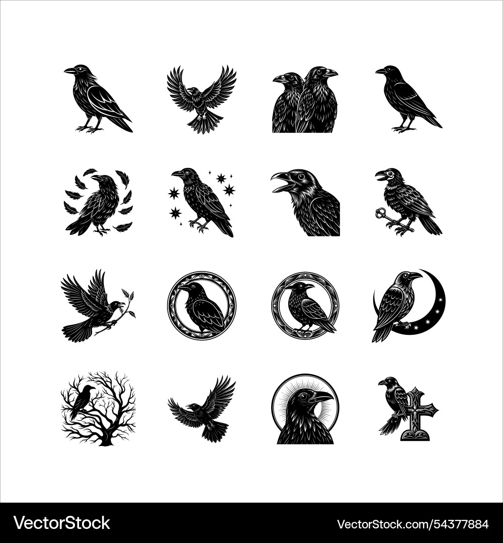 Raven birds svg Royalty Free Vector Image - VectorStock