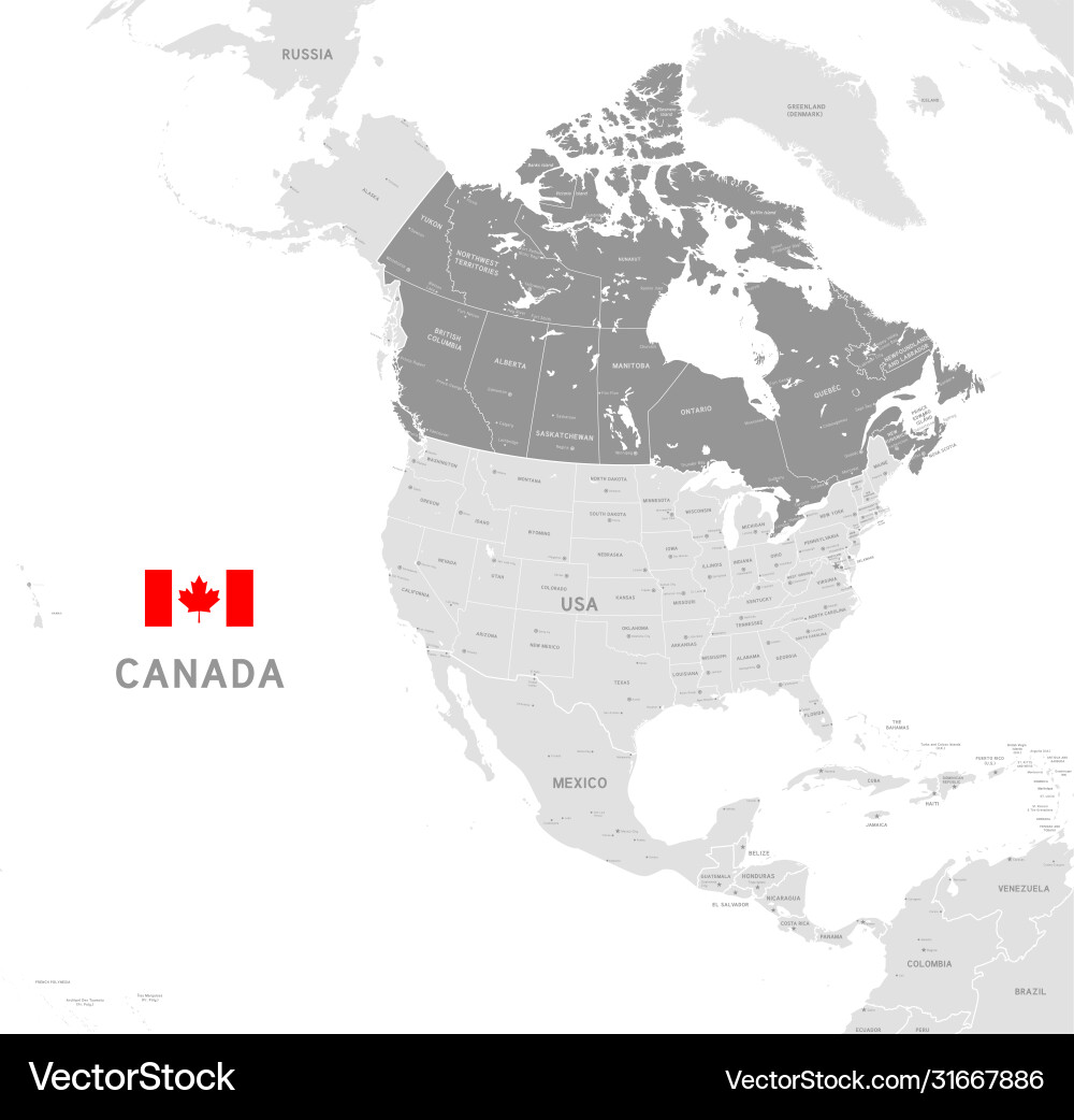 Grey political map canada Royalty Free Vector Image