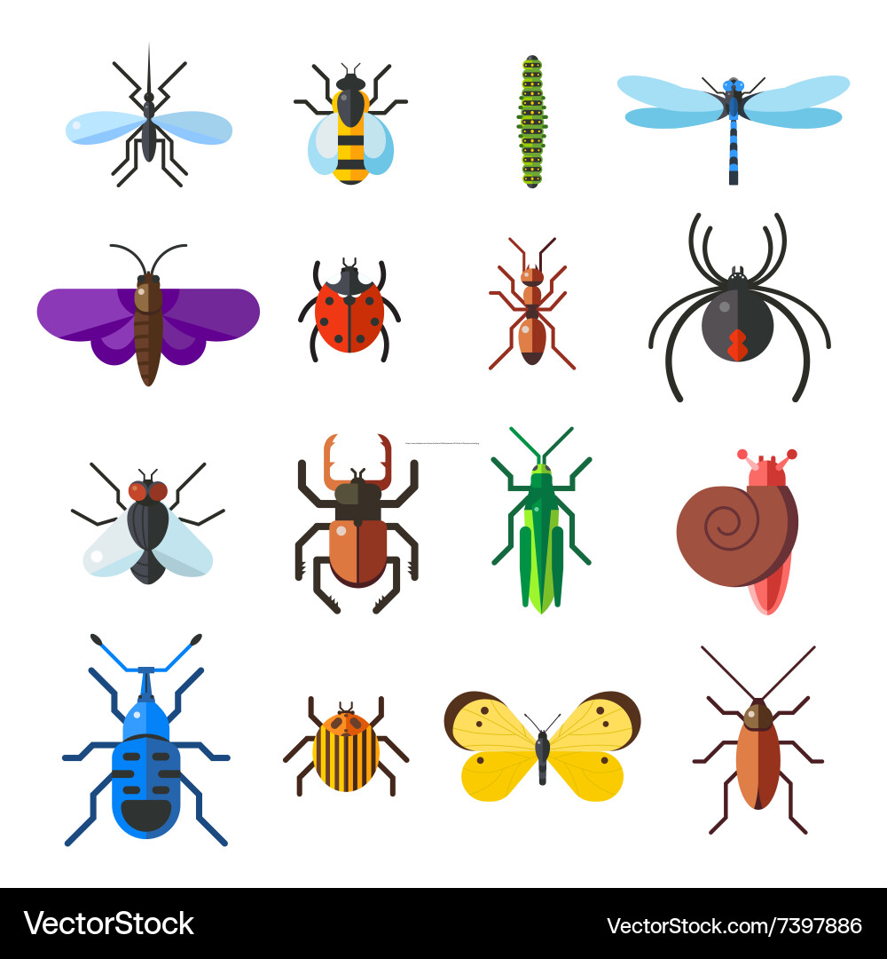 Insect icon flat set isolated on white background Vector Image