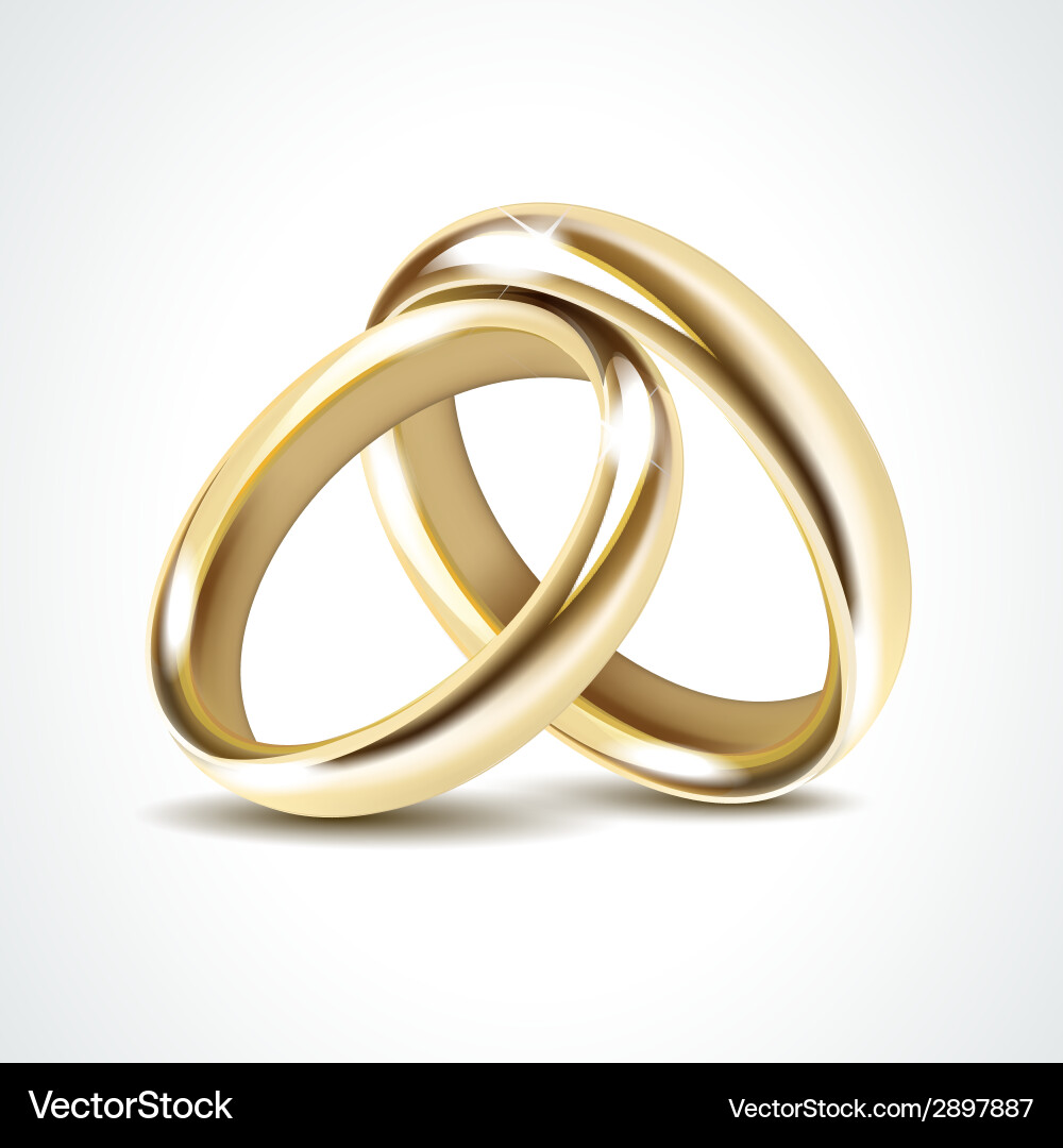 Gold wedding rings isolated Royalty Free Vector Image