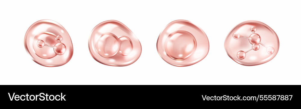 Pink collagen molecules inside transparent Vector Image