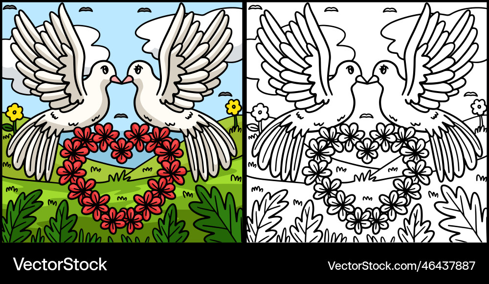 Wedding dove coloring page colored Royalty Free Vector Image