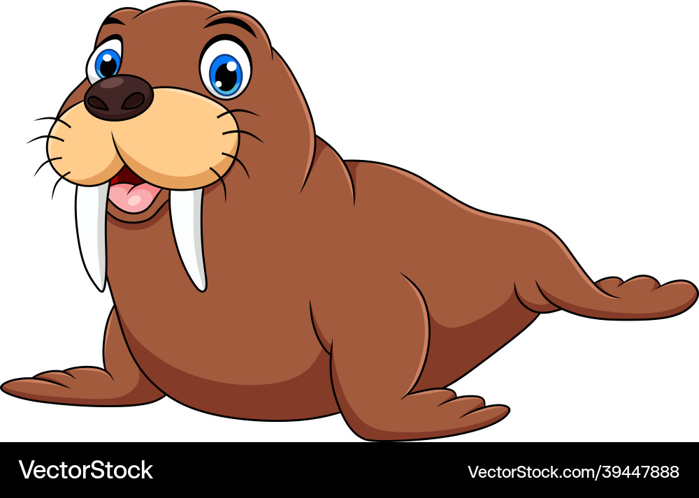Cute walrus animal cartoon Royalty Free Vector Image