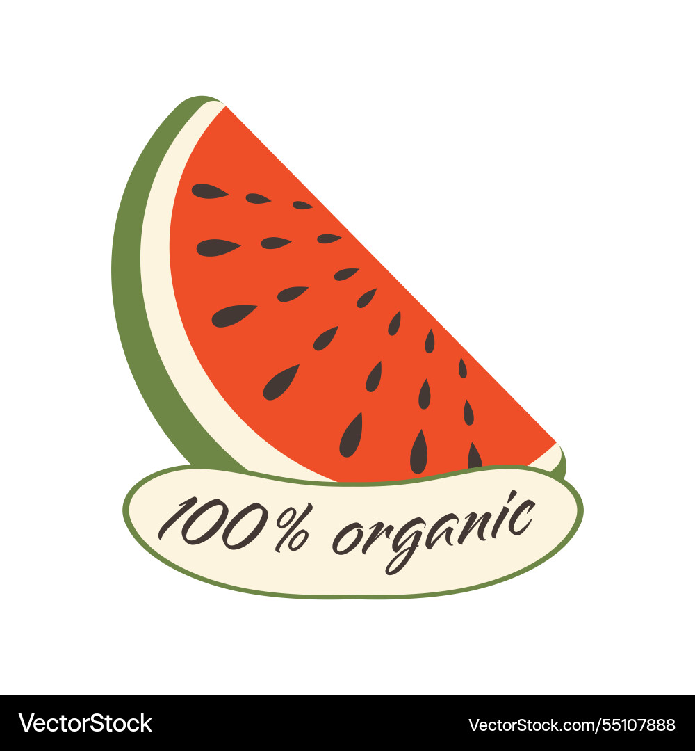 Organic watermelon fruit sticker in flat design Vector Image