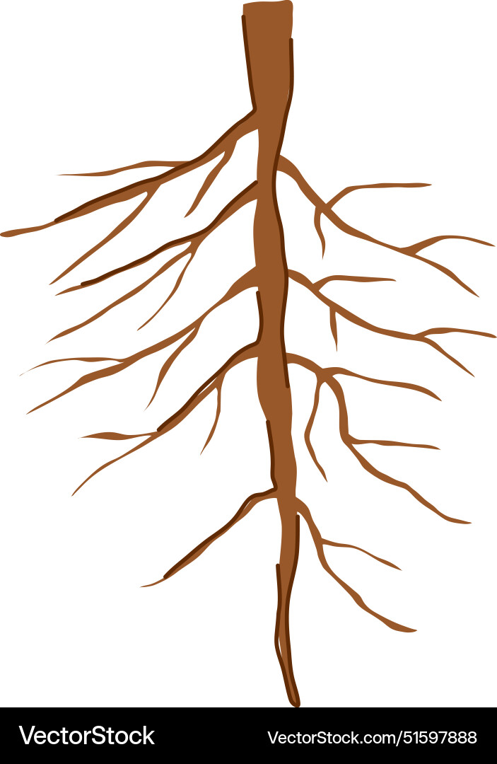 Silhouette tree root cartoon Royalty Free Vector Image