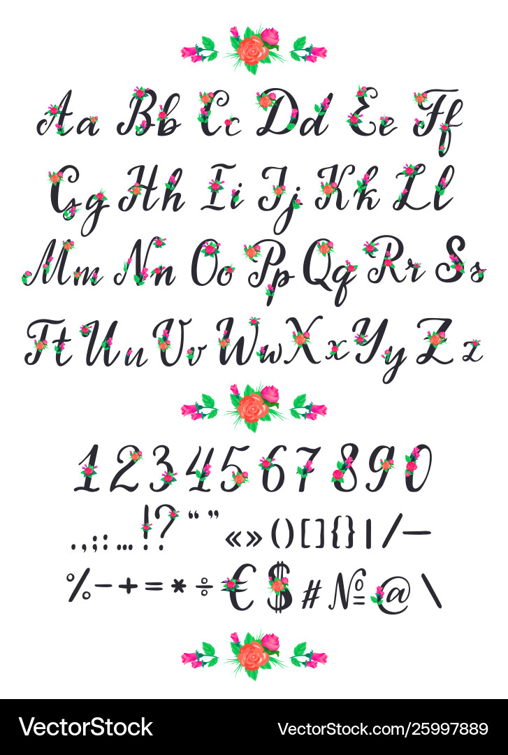 Alphabet abc flowering alphabetical font Vector Image