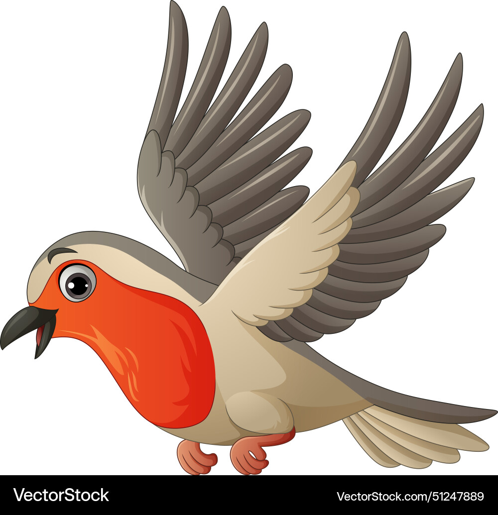 Cartoon robin bird flying on white background – Royalty-Free Vector ...