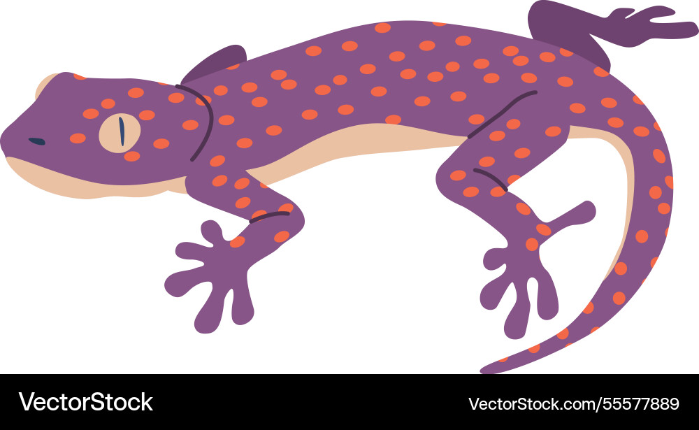 Cartoon tropical varan Royalty Free Vector Image