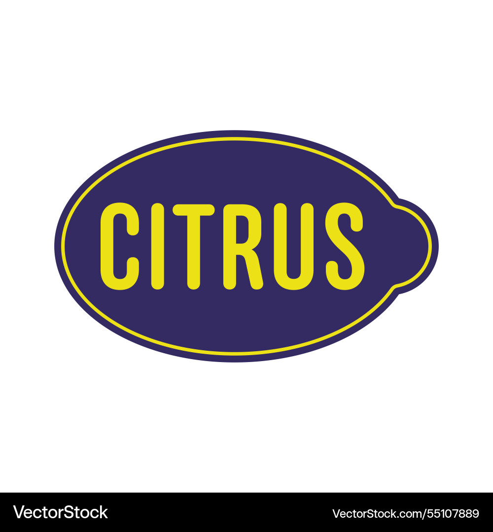 Citrus fruit sticker in flat design product Vector Image