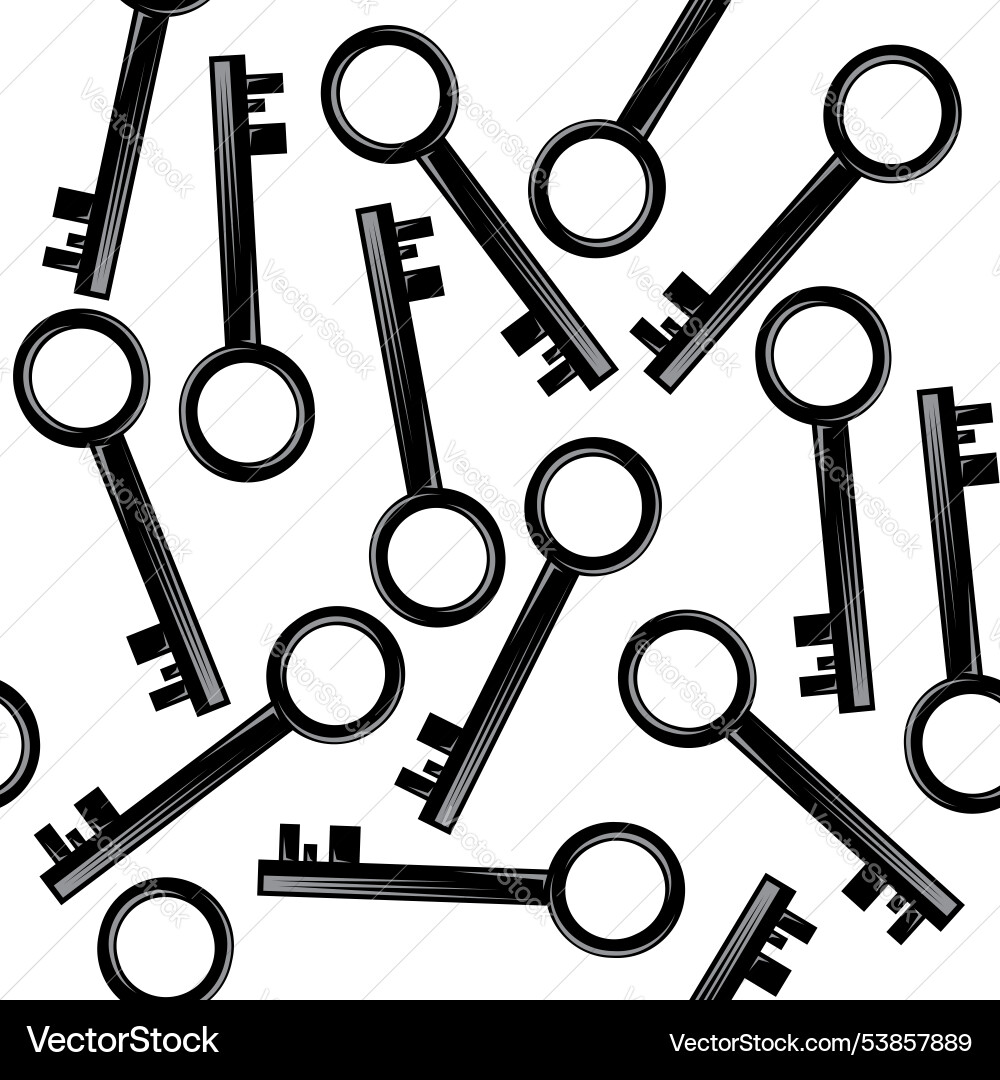 Key icon isolated on white background Royalty Free Vector