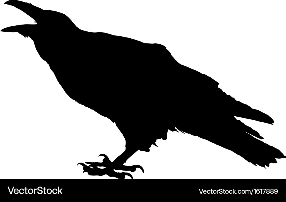 Corvidae Vector Images (over 160)
