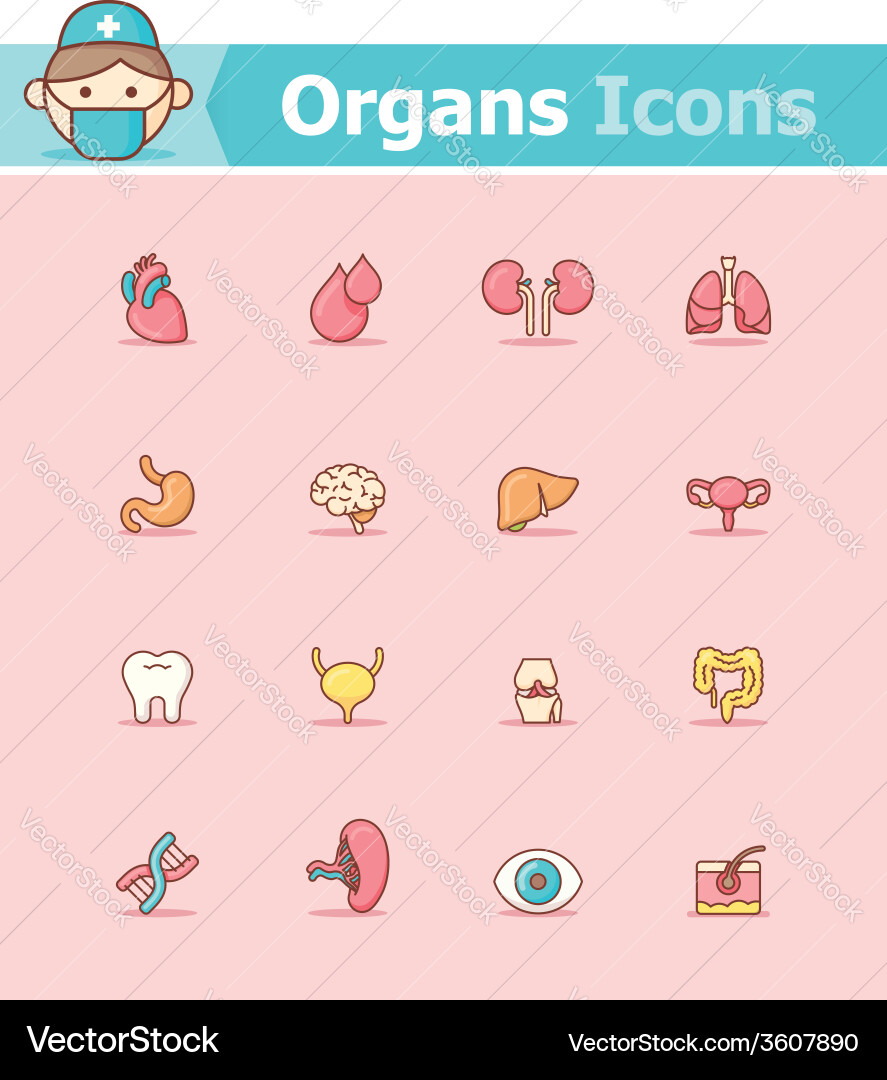Human Organ Icon Set Royalty Free Vector Image