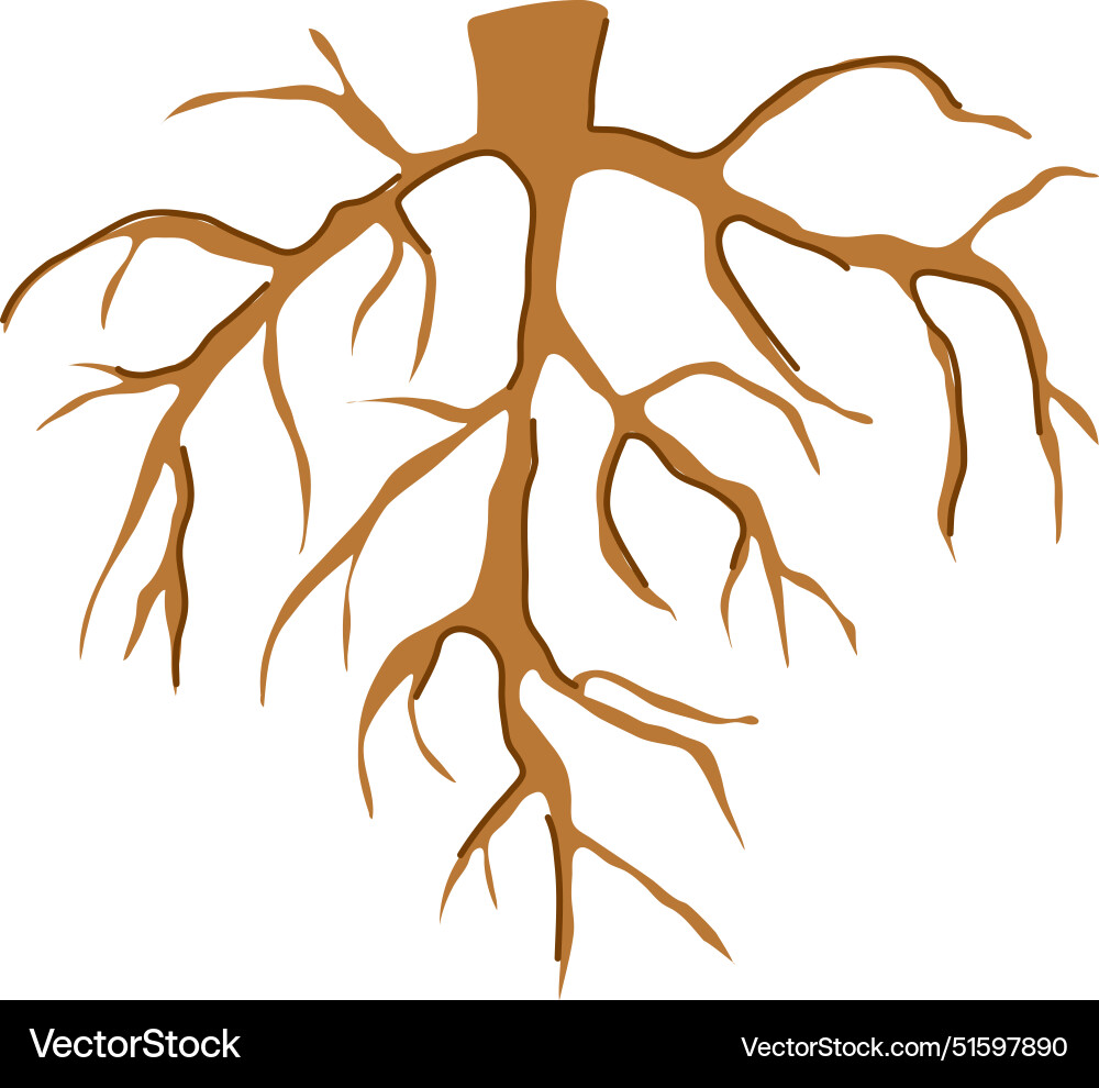 Plant tree root cartoon Royalty Free Vector Image