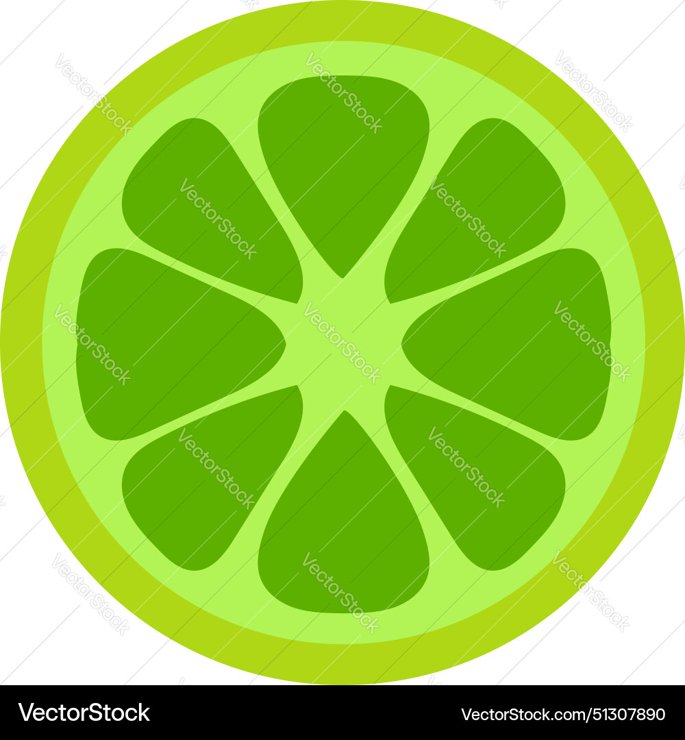 Sliced lime piece careless fruit Royalty Free Vector Image