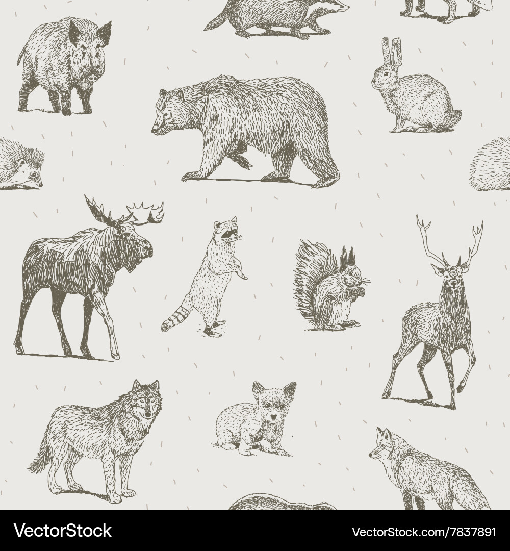 Dog Badger Pattern Vector Images (over 130)