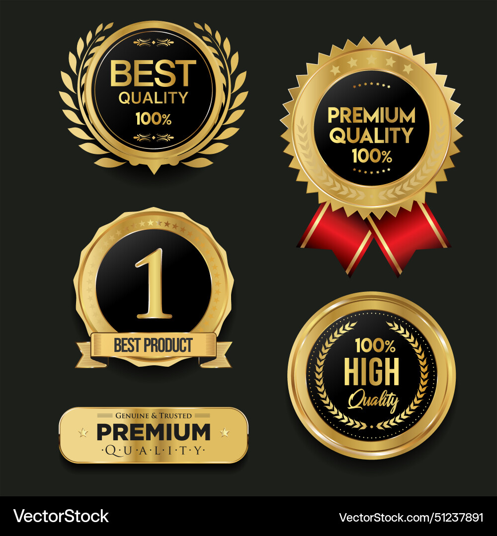 Golden luxury labels isolated on black background Vector Image