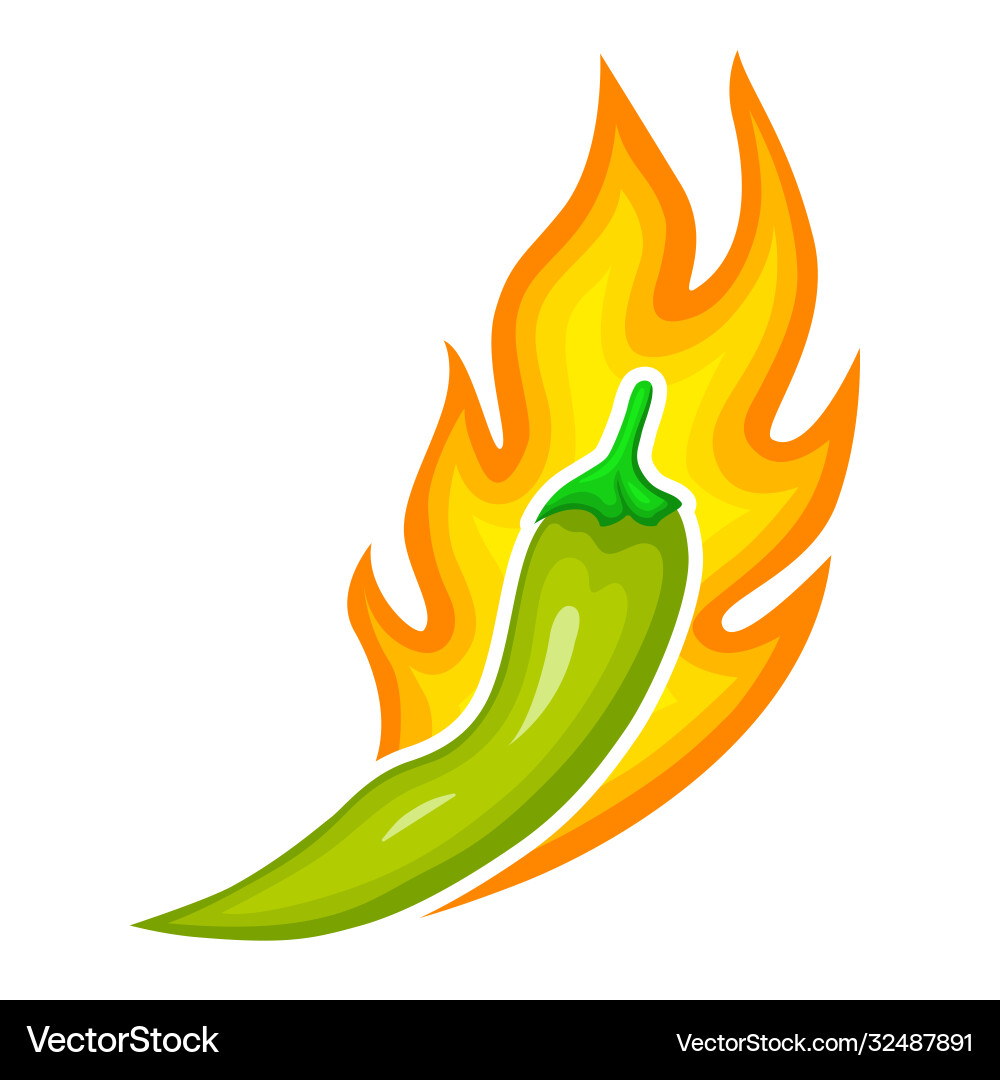 Hot finger pepper with sharp taste green chili Vector Image
