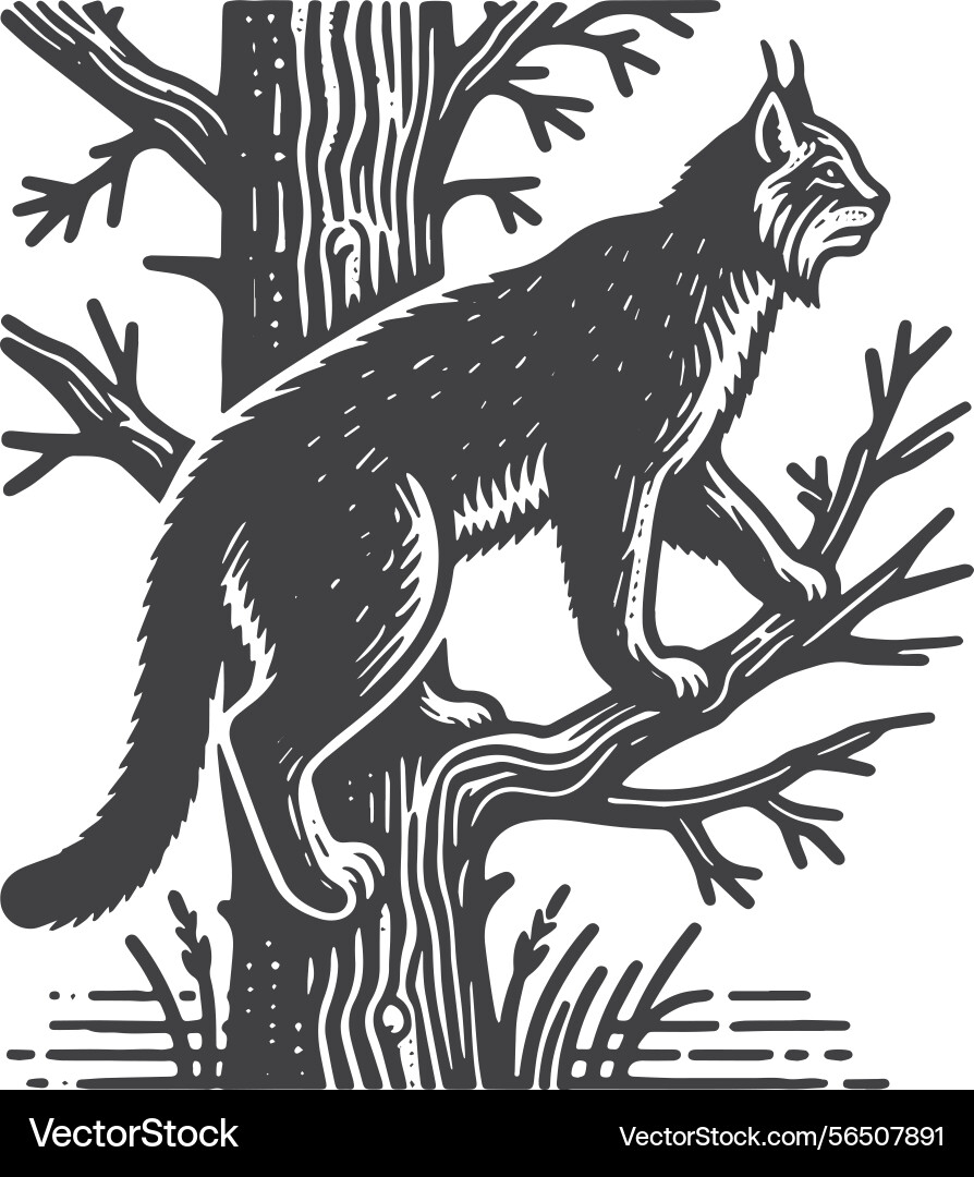 Simple bobcat climbing a tree icon design Vector Image