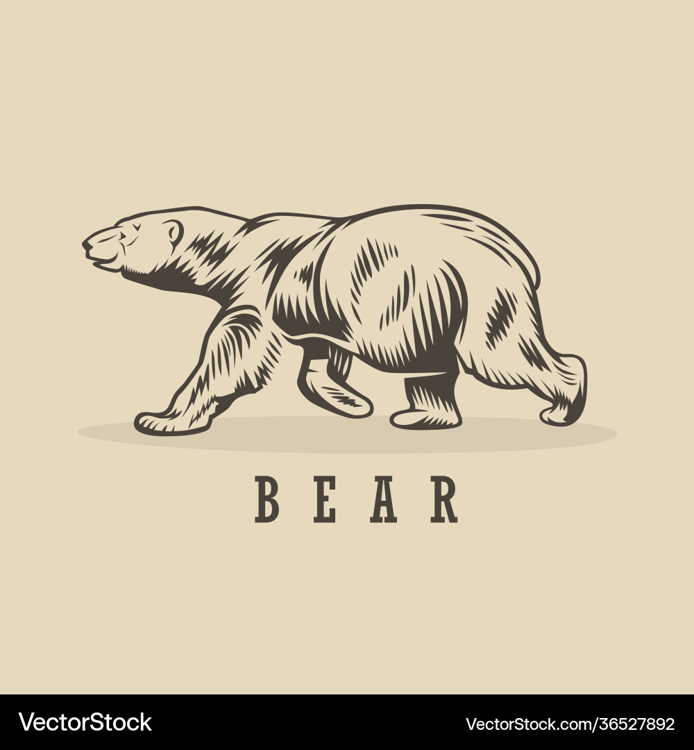 Bear Royalty Free Vector Image - VectorStock