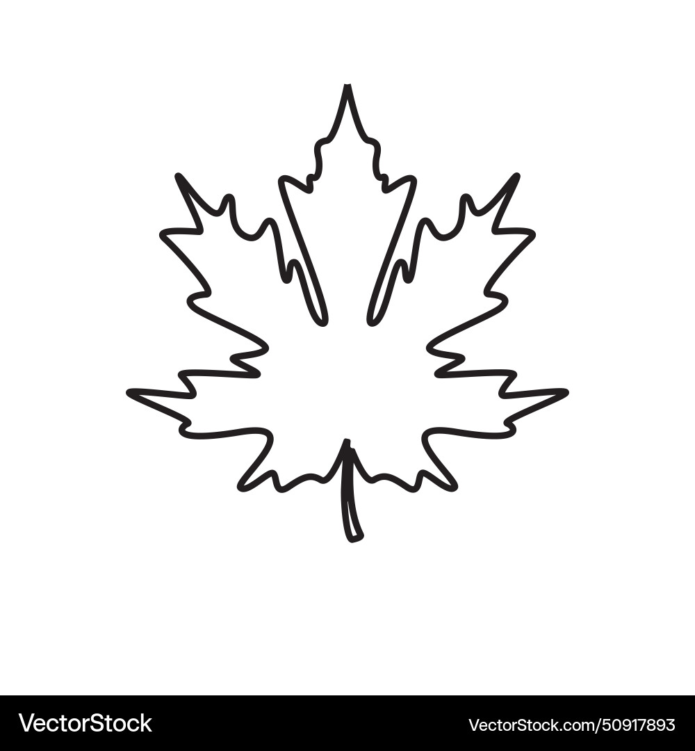 Autumn maple leaf design template Royalty Free Vector Image