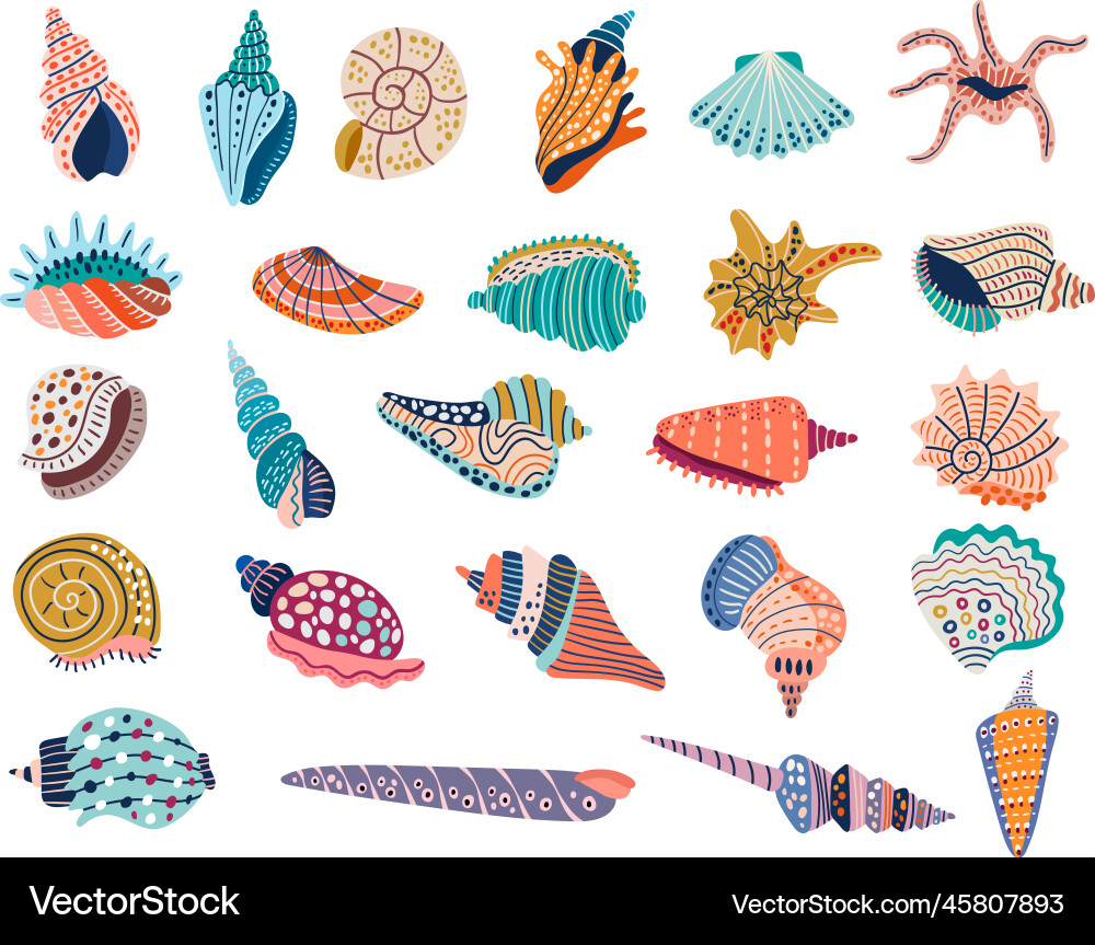 Doodle seashell colored stylized Royalty Free Vector Image
