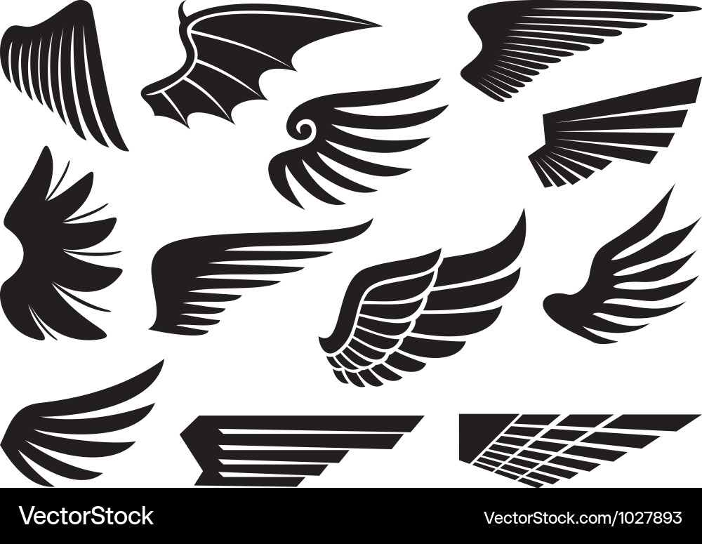 Wings collection Royalty Free Vector Image - VectorStock