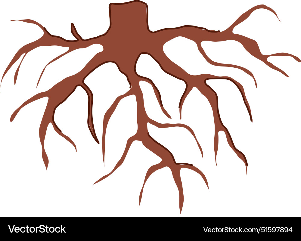 Logo tree root cartoon Royalty Free Vector Image
