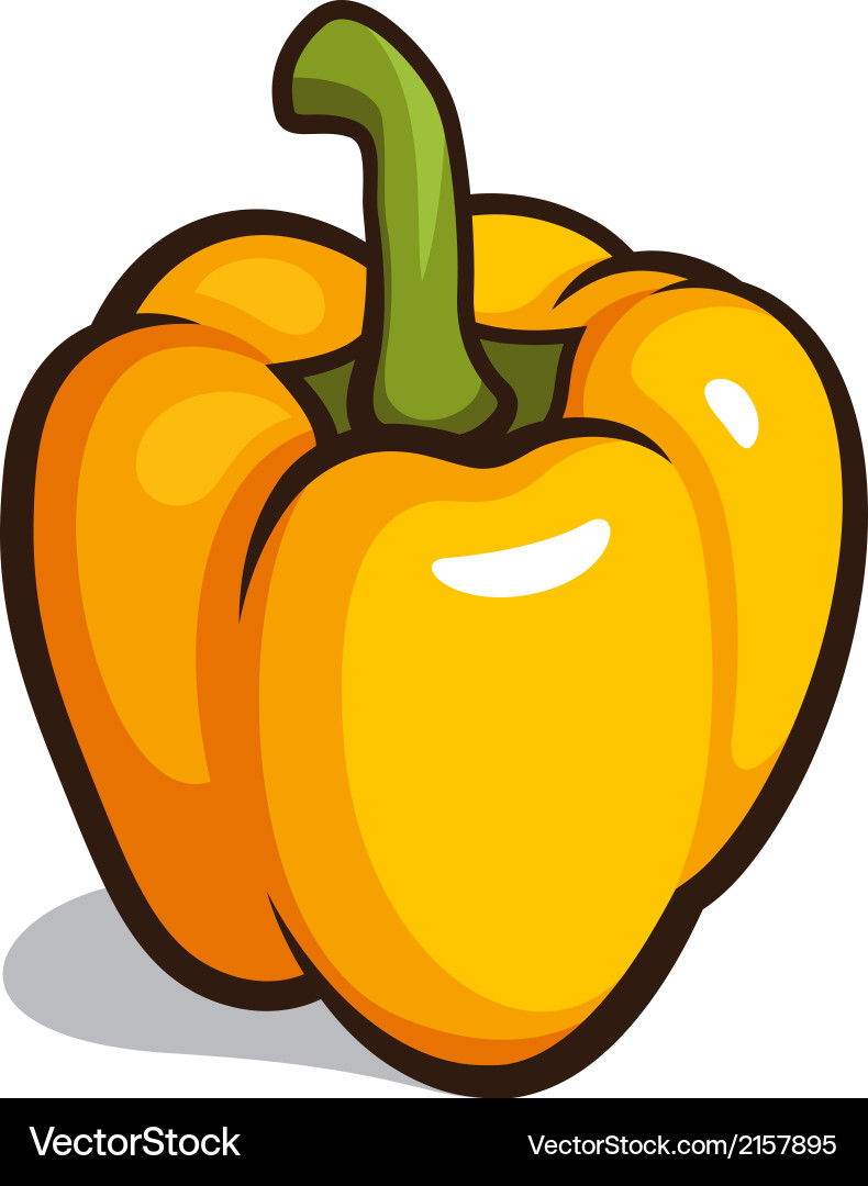 Bulgarian pepper Royalty Free Vector Image - VectorStock