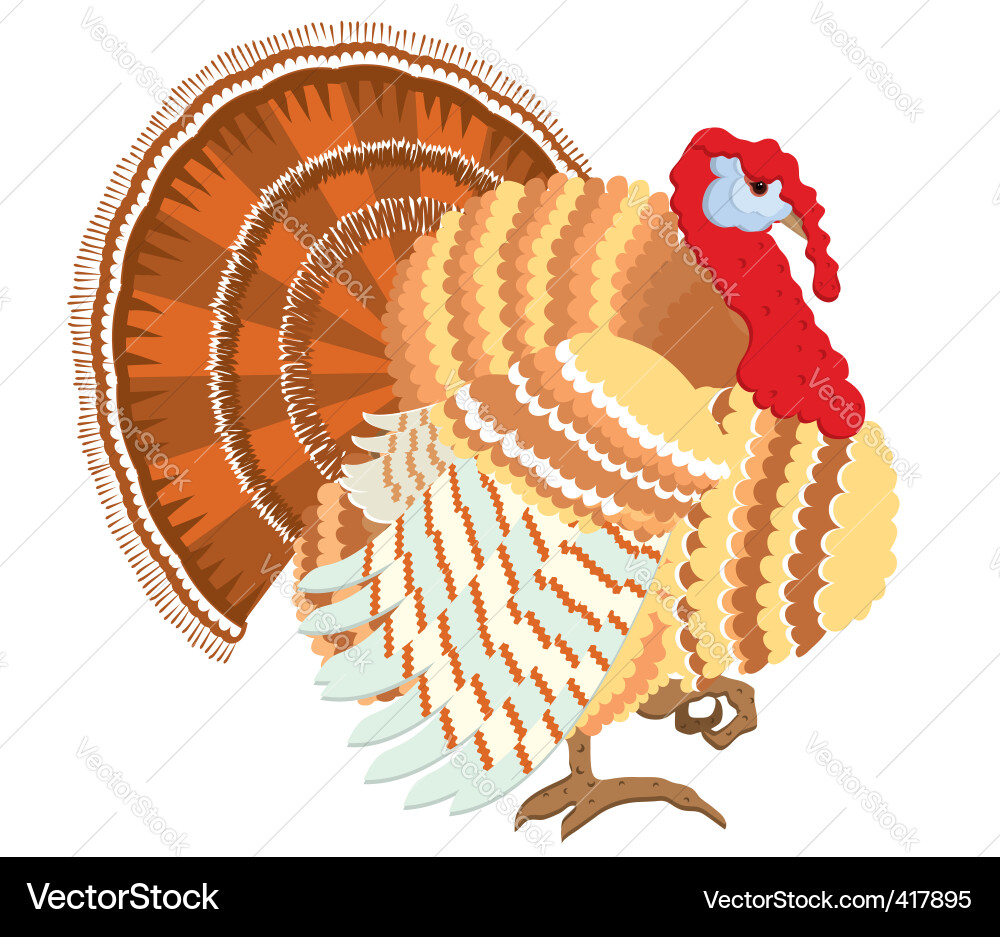 Turkey Royalty Free Vector Image - VectorStock