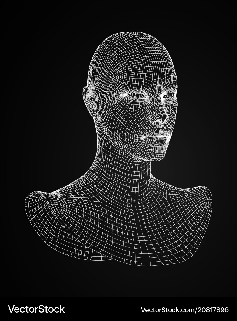 3D Head Wireframe Model Royalty Free Vector Image