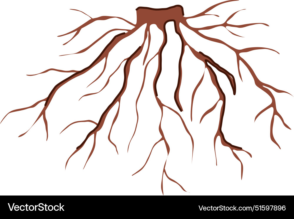 Branch tree root cartoon Royalty Free Vector Image