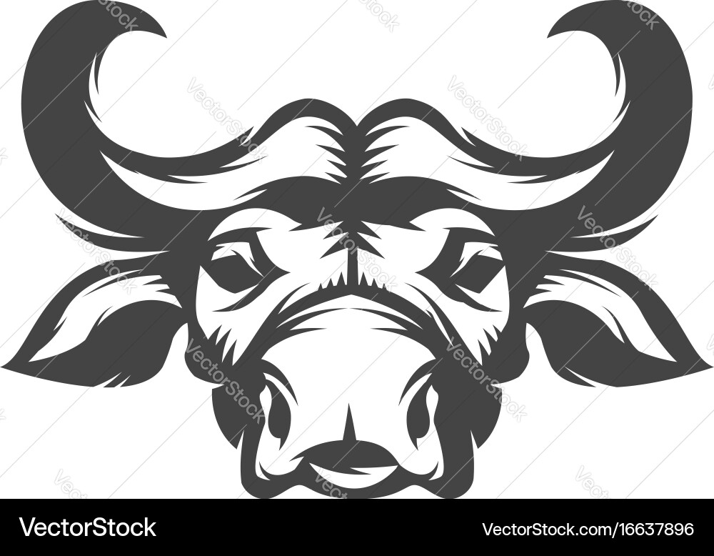 Buffalo head isolated on white Royalty Free Vector Image
