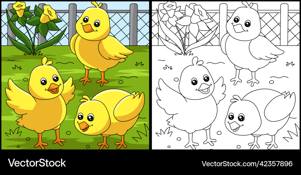 Chicks coloring page colored Royalty Free Vector Image