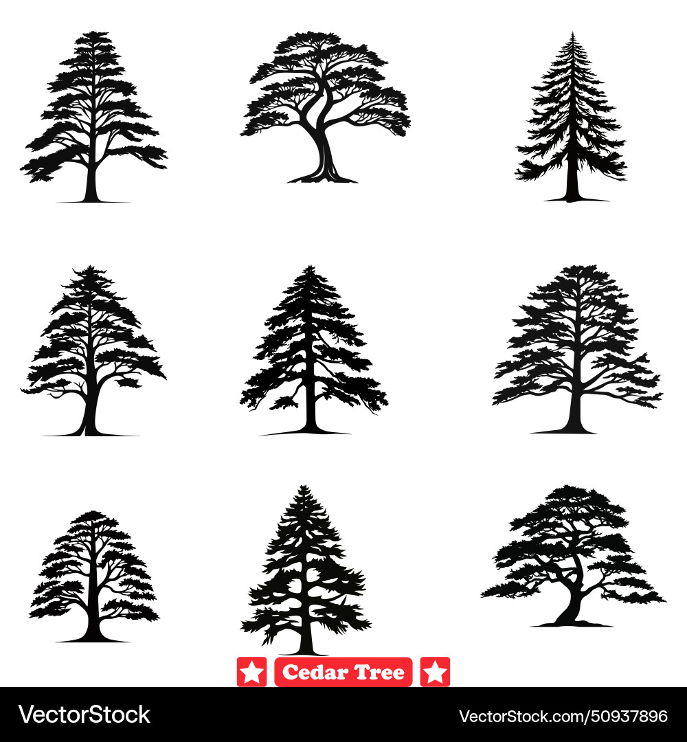 Timeless cedar trees in adding depth Royalty Free Vector