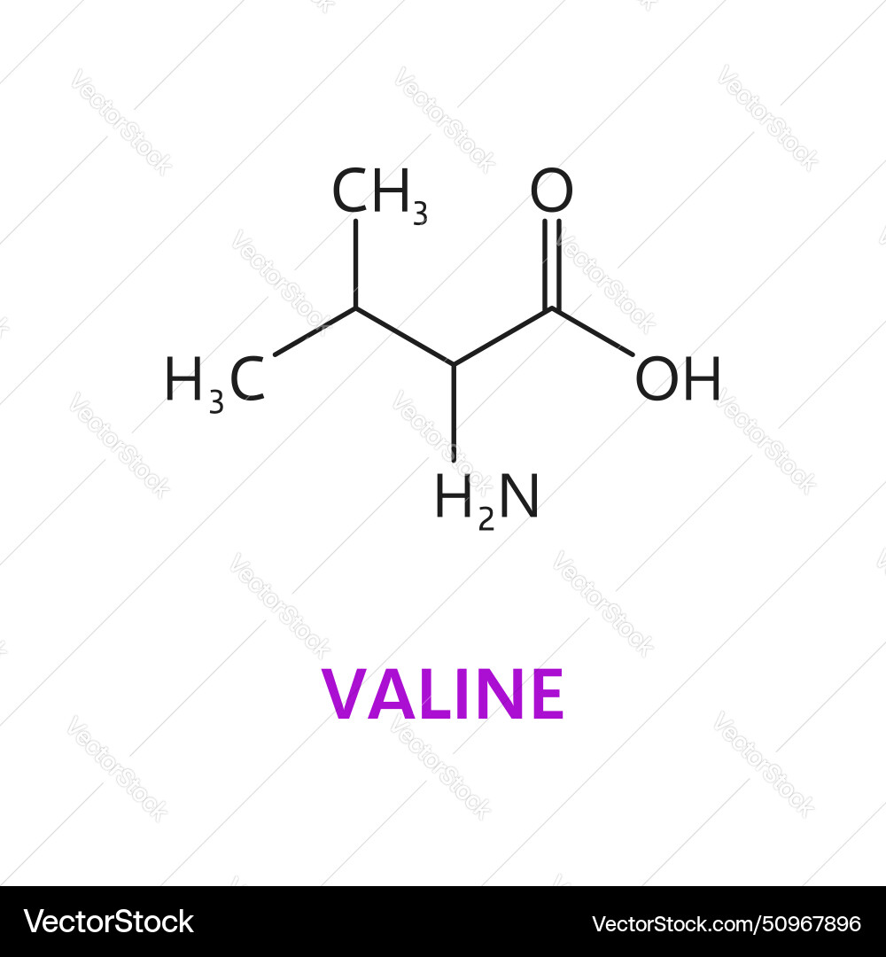 Valine amino acid chemical molecular structure Vector Image