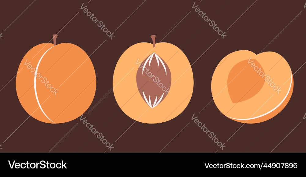 Whole and cut apricot Royalty Free Vector Image