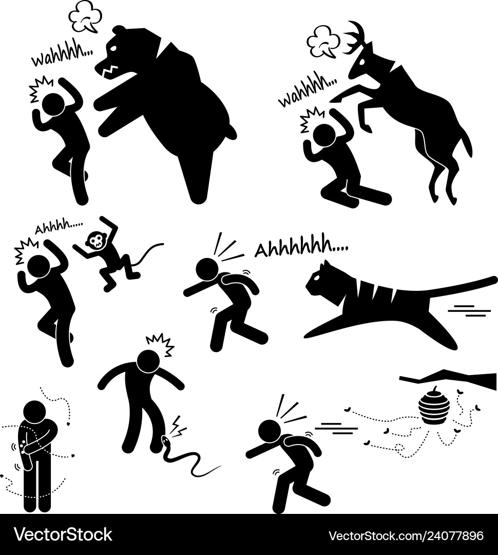 Wild animal attacking hurting human stick figure Vector Image