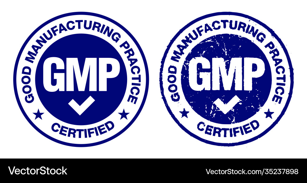 GMP Certification Round Stamp Royalty Free Vector Image