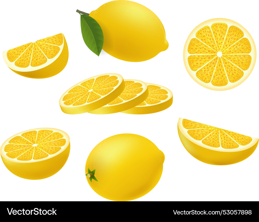 Realistic lemon citrus collection Royalty Free Vector Image